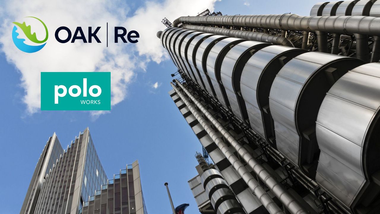 Oak Re’s Lloyd’s syndicate 2843 gets greenlight for 1/1 launch ...